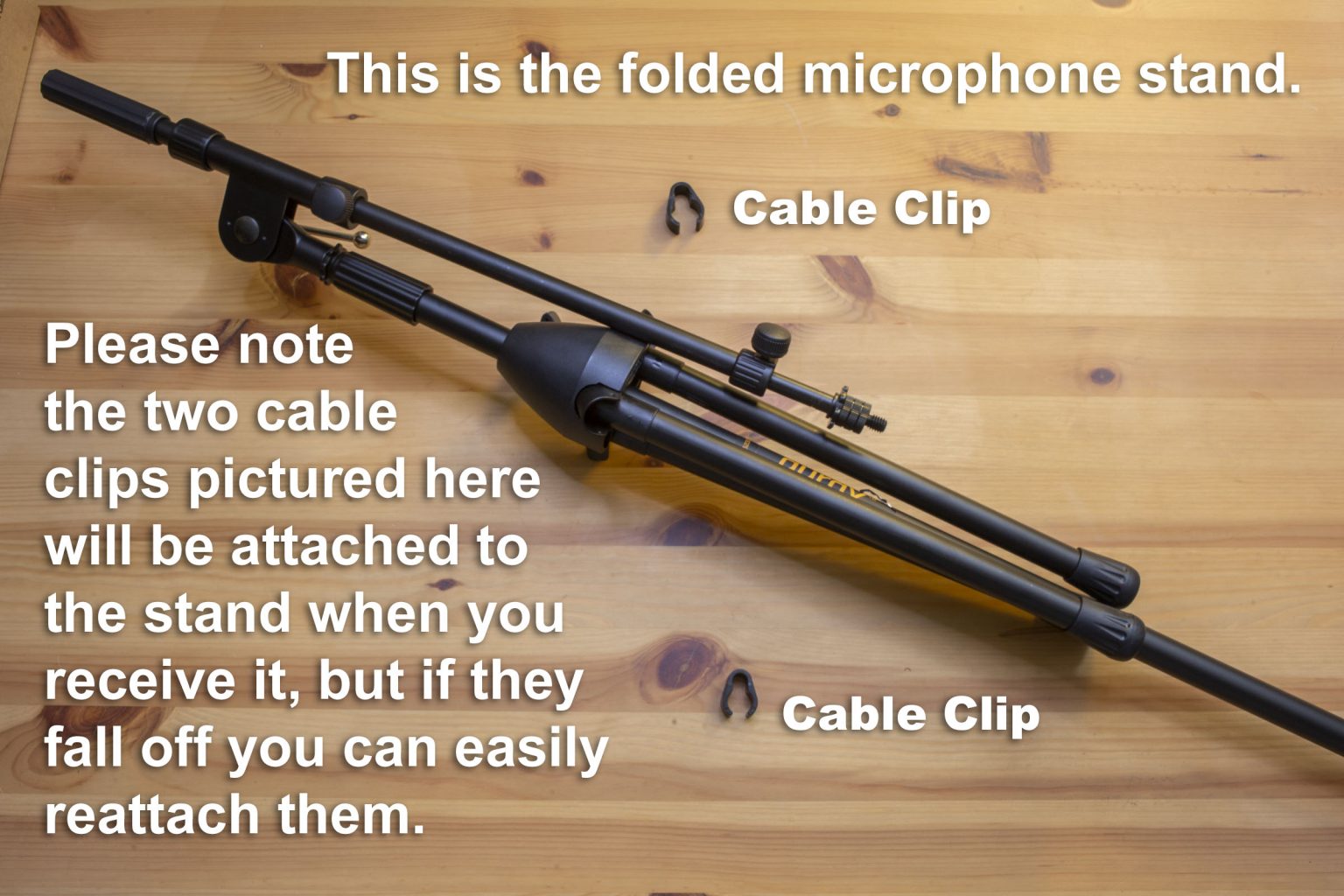 Microphone & In-Ear Monitor (IFB)